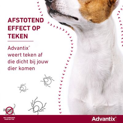 Advantix® 100/500 Spot-On Solution voor Honden 4 - 10 kg | zooplus