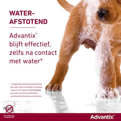 Advantix® 100/500 Spot-On Solution voor Honden 4 - 10 kg | zooplus