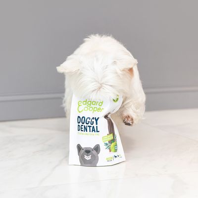 Bâtonnets Edgard & Cooper Mâch' Sticks pomme, eucalyptus pour chien pas ...