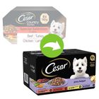 Cesar hondenvoer in kuipjes voordelig bij zooplus