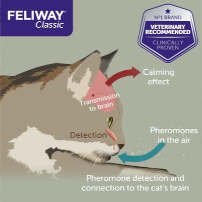 Feliway® Classic Diffuser | zooplus.co.uk