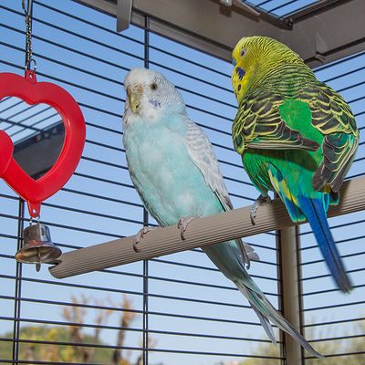 Ferplast Piano 6 Bird Cage | Top Deals at zooplus.co.uk
