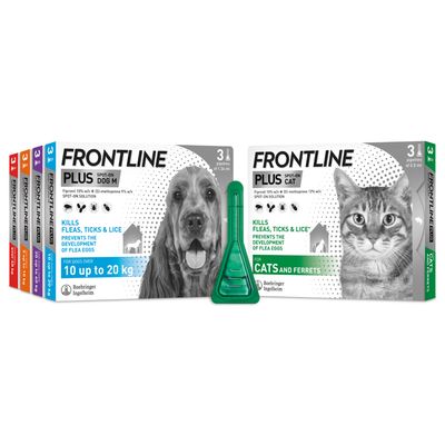 FRONTLINE® Plus Spot On for Cats | zooplus.co.uk