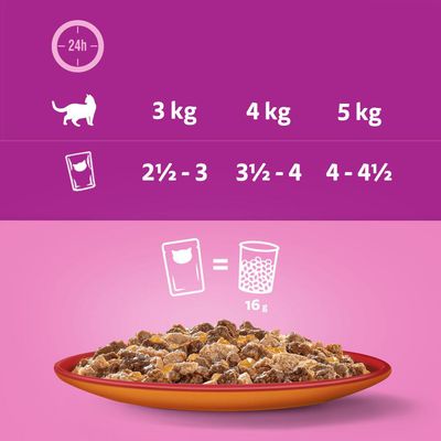 Multipack Whiskas Duo Portiezakjes 48 x 85 g | zooplus