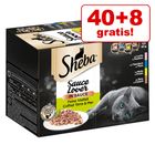 Sheba kattemad | zooplus.dk