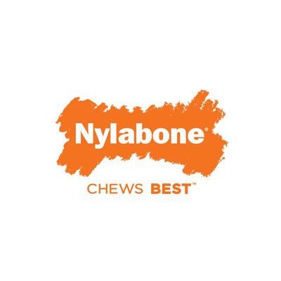 Jouet Os Nylabone Dura Chew Monster pour chien | zooplus