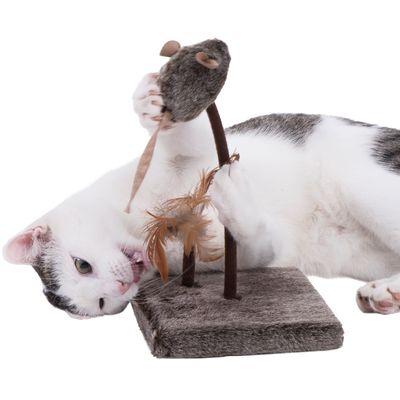Lot Wild Mouse : souris sonore et plateau de jeu pour chat | zooplus