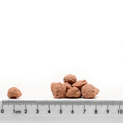 Handla MAGNUSSONS Vuxen / Adult hundfoder | zooplus.se