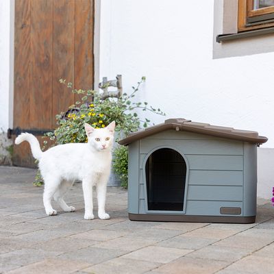 Maison Kerbl Pet Paola Eco pour chat pas cher