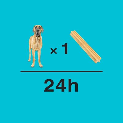 Misfits Nasher Sticks with Chicken & Beef Dog Treats | zooplus.co.uk