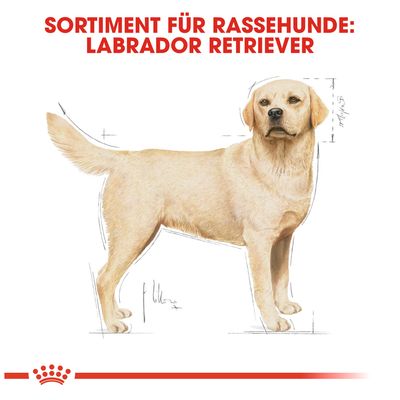 Royal Canin Breed Labrador Retriever Adult | zooplus.ch