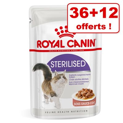 Royal Canin pour chat 36 x 85 g + 12 sachets offerts ! | zooplus