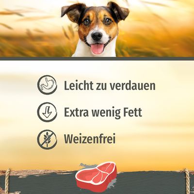 SmartBones hundebein til mellomstore hunder, med okse | zooplus.no