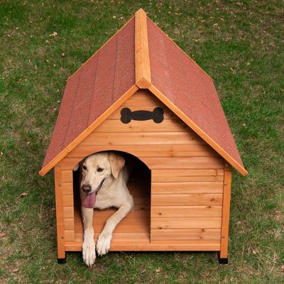 Handla Spike Classic hundkoja | zooplus.se