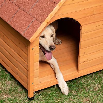 Handla Spike Classic hundkoja | zooplus.se