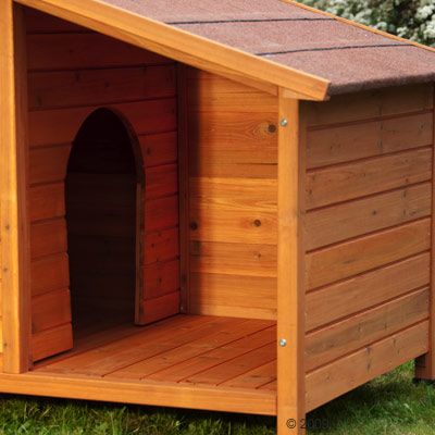 Handla Spike Special hundkoja | zooplus.se
