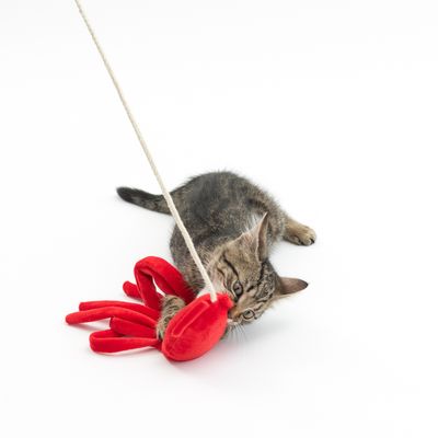 TIAKI cat fishing rod XL Octopus | zooplus