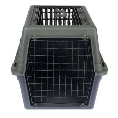TIAKI Transportbox Verde günstig kaufen | zooplus
