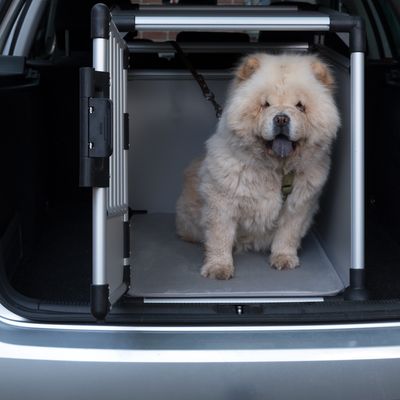 Trixie cage de transport en aluminium pour chien, gris clair | zooplus.be