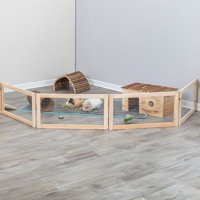 Stilvolle Freilauf Fr Meerschweinchen Ebenbild