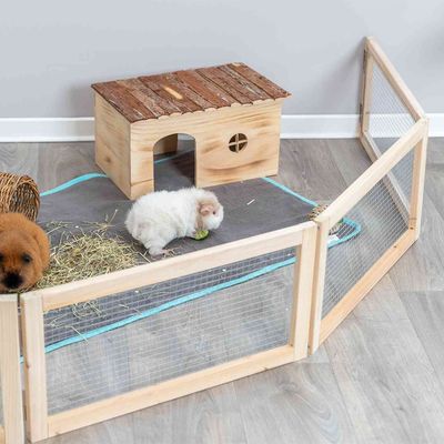 Stilvolle Freilauf Fr Meerschweinchen Ebenbild