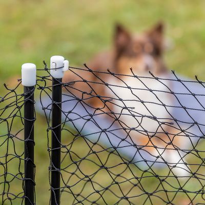 Trixie přenosný plot pro psy | bitiba.cz