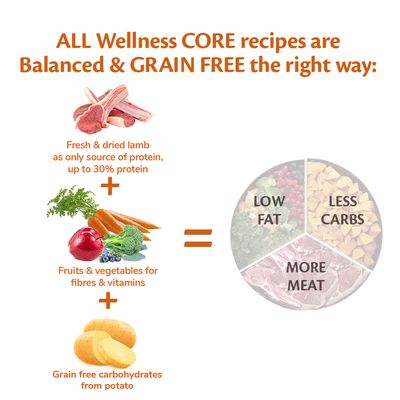 Wellness Core All Breeds Adult Lamb Dry Dog Food | zooplus.co.uk