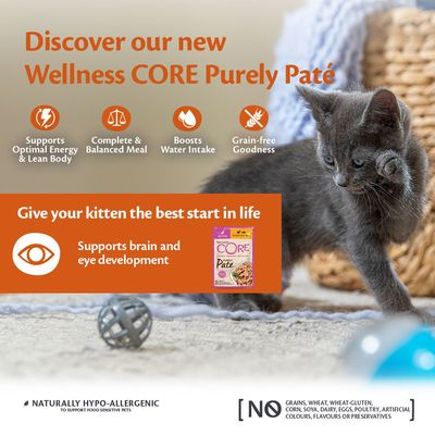 Wellness Core Purely Paté Wet Cat Food | zooplus.co.uk