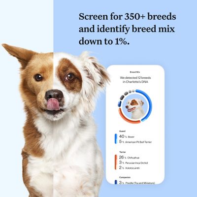 Wisdom Panel™ Breed Discovery Dog DNA Test | zooplus.co.uk