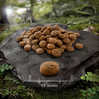 Wolf of Wilderness "Ruby Midnight" - marha & nyúl, alacsony árak | zooplus