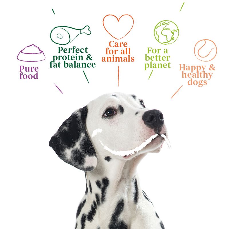 How Can I Help My Puppy With Colic